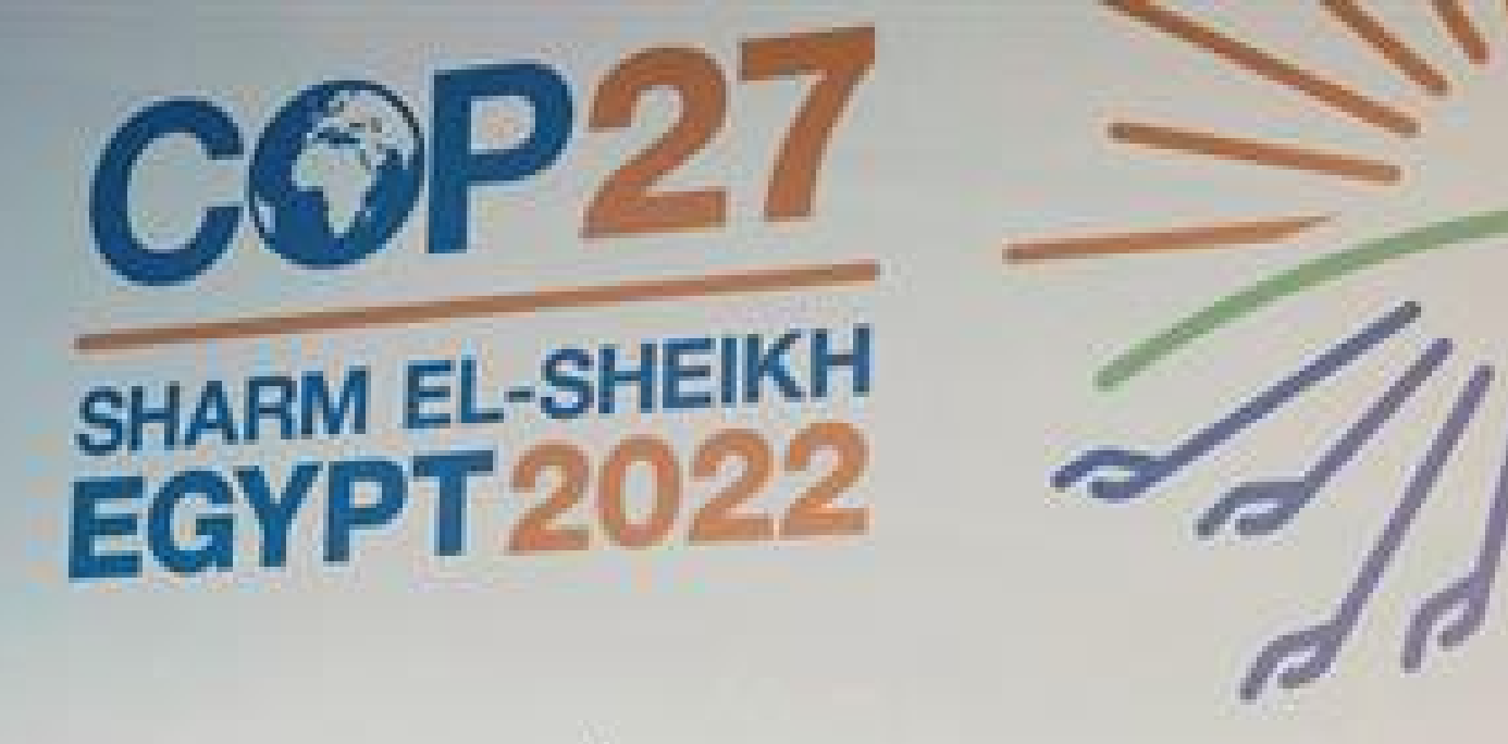 COP27-comment contrôler les aliments ultra-transformés? - GIFA