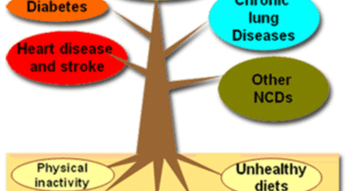 Obesity and other NCDs - GIFA