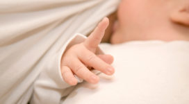 Composition du lait maternel - GIFA